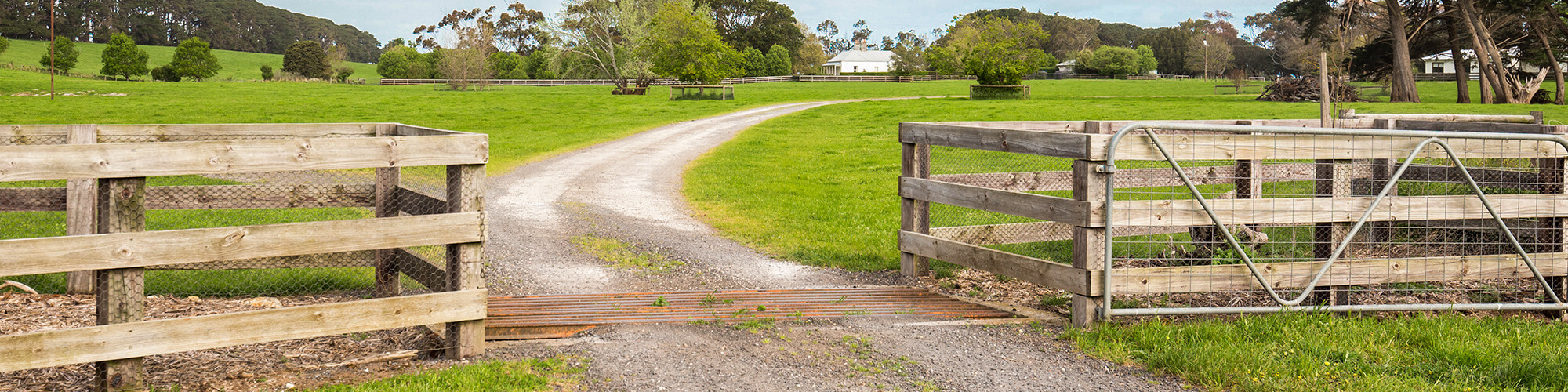 News and Media - Thomas Foods International